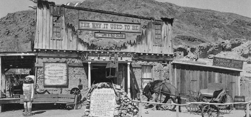 Cornucopia – quefaitesvous